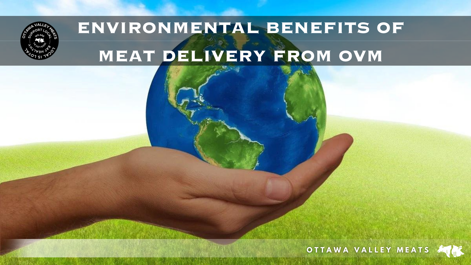 The Sustainable Solution: Unveiling the Environmental Benefits of Meat