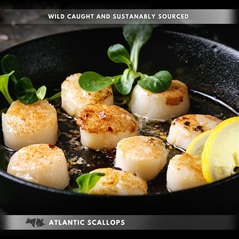 Atlantic Scallops (10/20)
