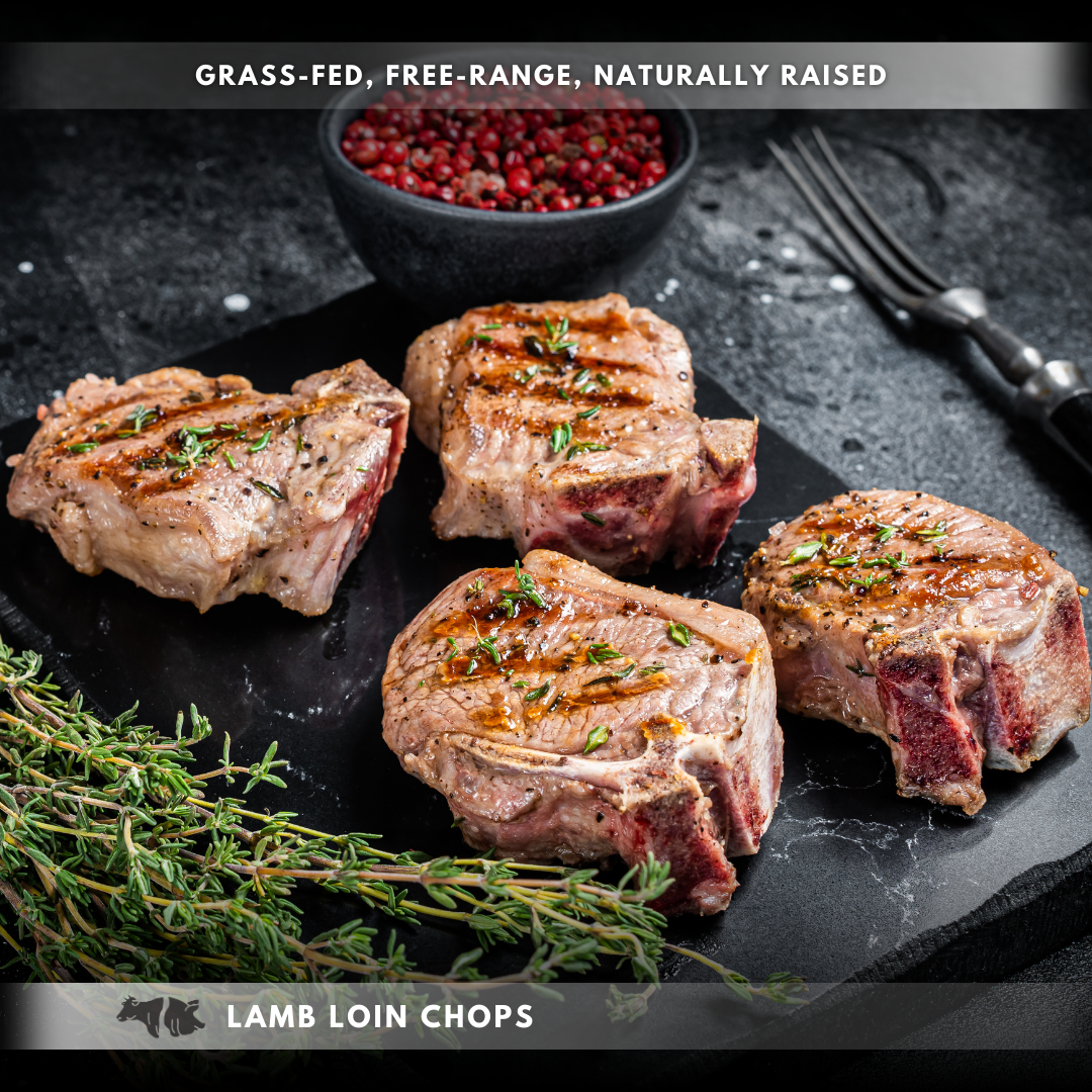 Lamb