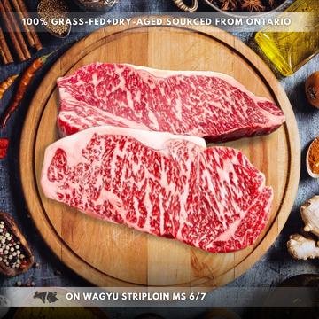 Ontario Wagyu Striploin MS 6/7