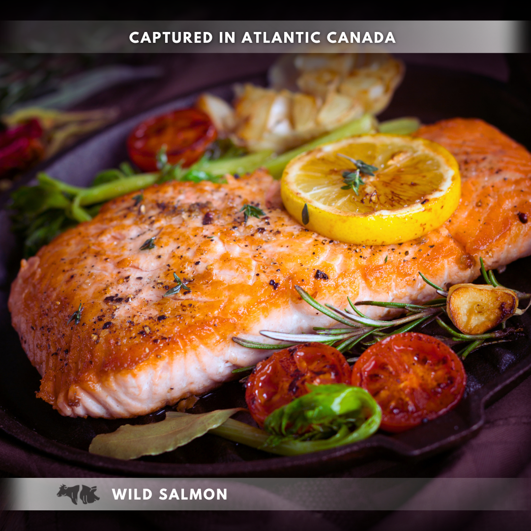 Wild Salmon